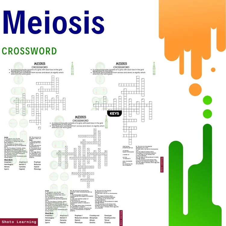 Interactive Meiosis Game Worksheet Bundle | Fun Learning Tools