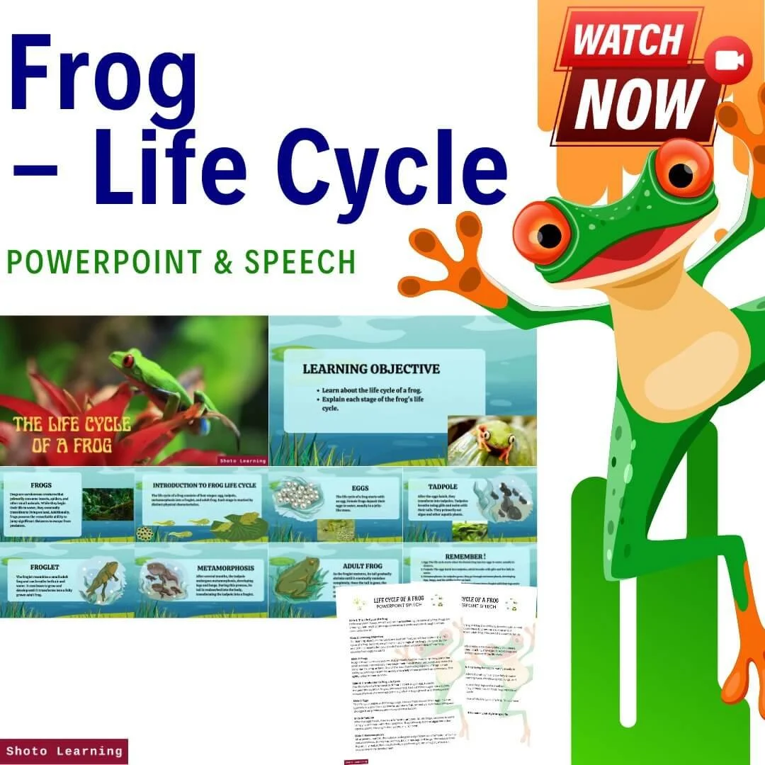Frog Life Cycle Reading Worksheet with Questions & Answers