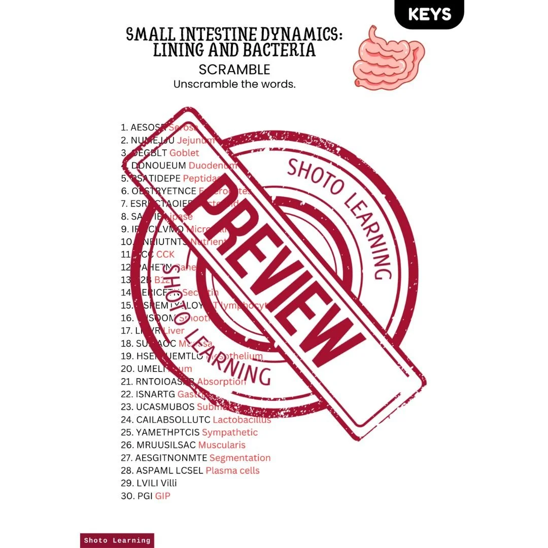 Small Intestine Word Search: Lining & Bacteria Puzzle
