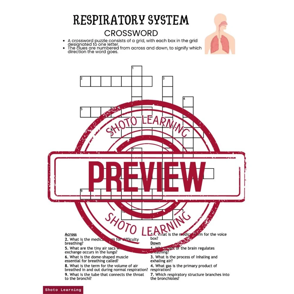Respiratory System Word Search: Fun Science Activity