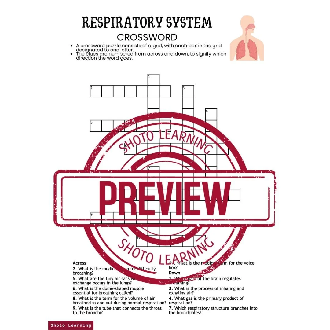 Respiratory System Matching Worksheet: A Match Made in Lungs