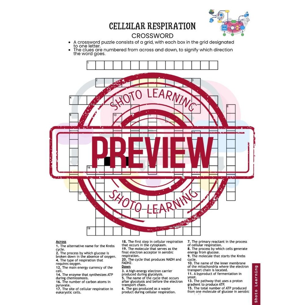 Cellular Respiration Reading Worksheet for Biology Students