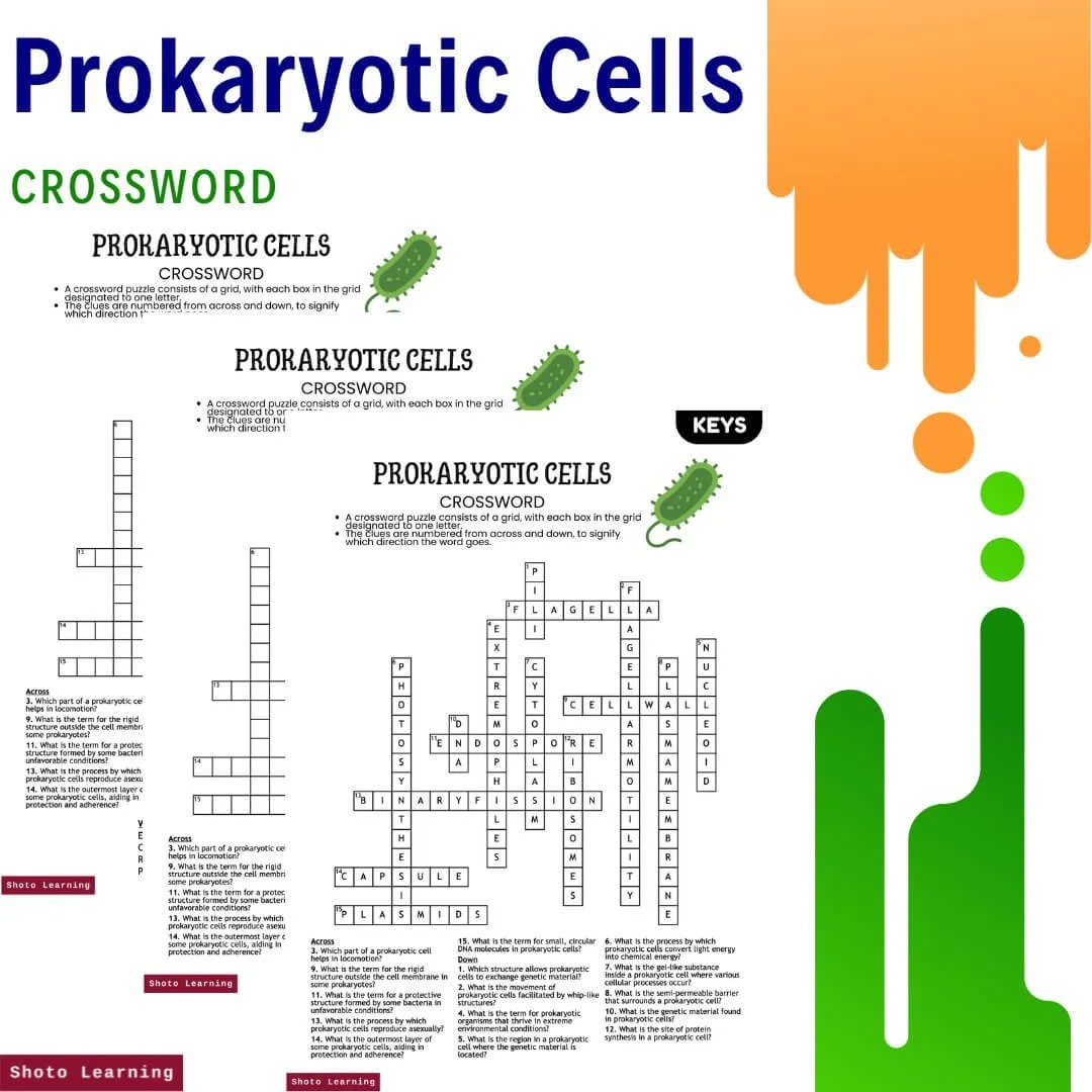 Prokaryotic Cell Q&A Mastery: 20 Questions & Answers