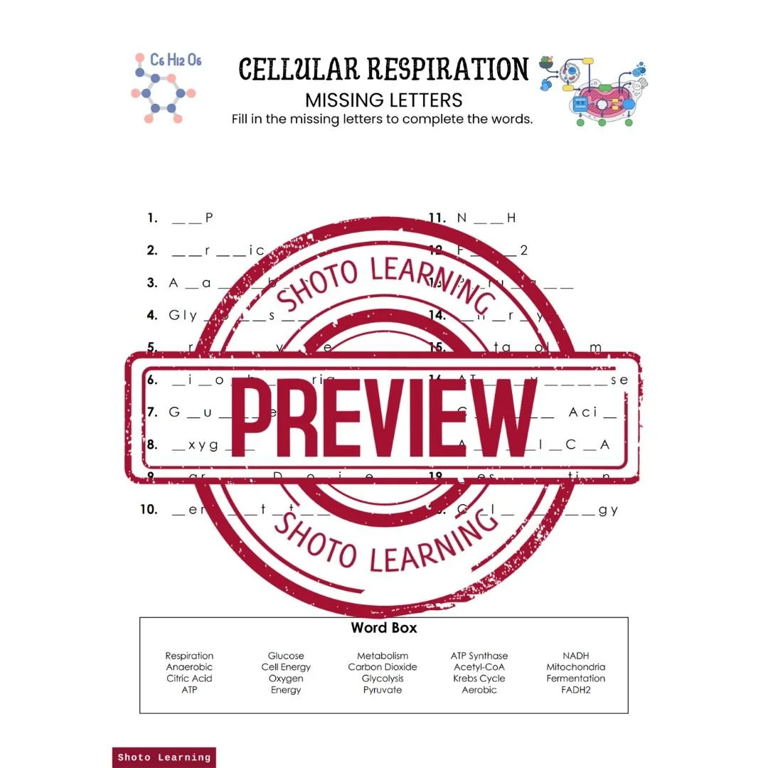 Cellular Respiration Label Worksheet | Word Box & Answer Key