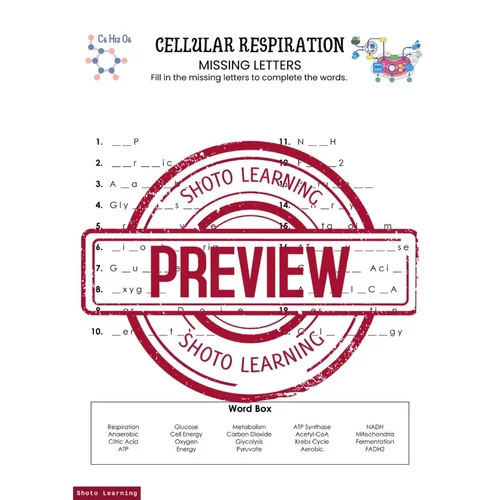 Cellular Respiration Label Worksheet | Word Box & Answer Key