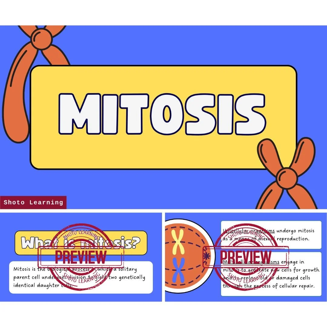 Unveiling Mitosis Poster - Educational Cell Division Chart