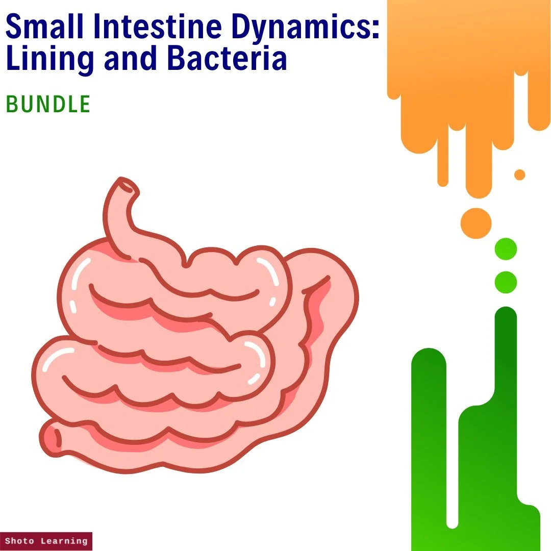 Small Intestine Word Search: Lining & Bacteria Puzzle