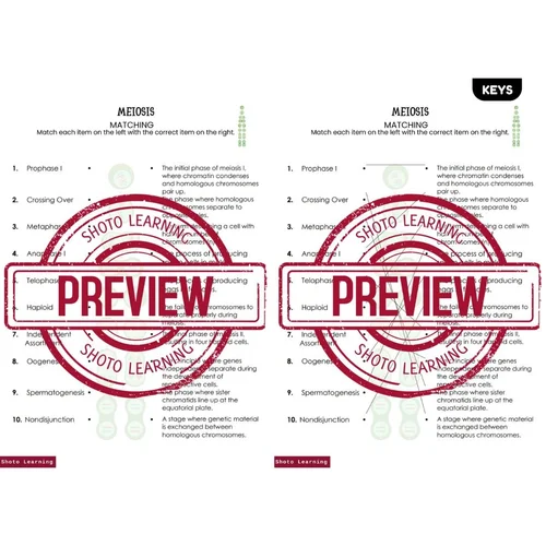 Meiosis Multiple Choice Worksheet | 20 Questions & Answer Key