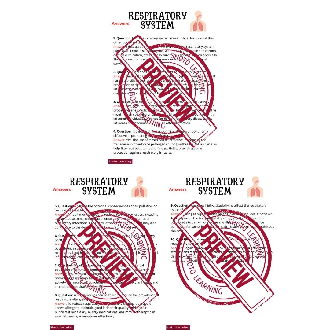 Respiratory System Poster: Learn Anatomy & Function | Free Download