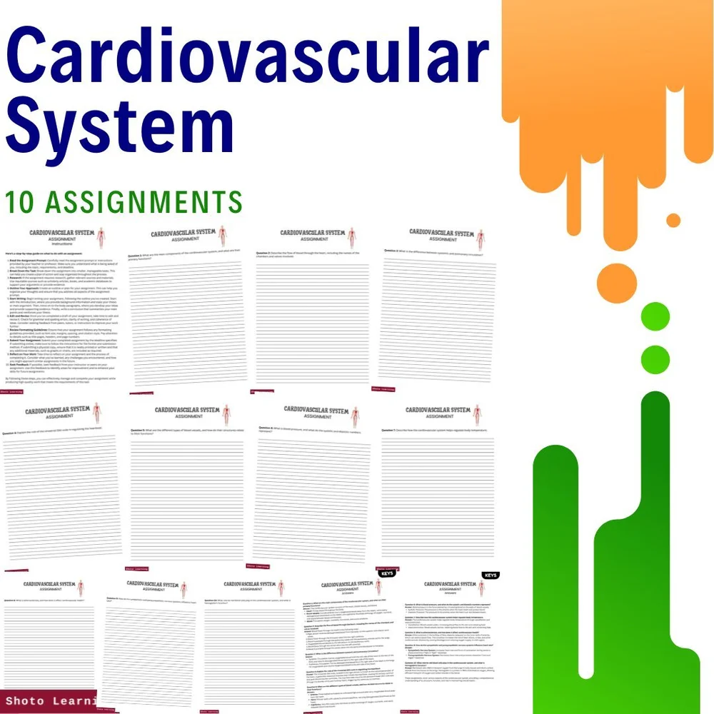 Cardiovascular System Word Scramble - Fun Learning Worksheet
