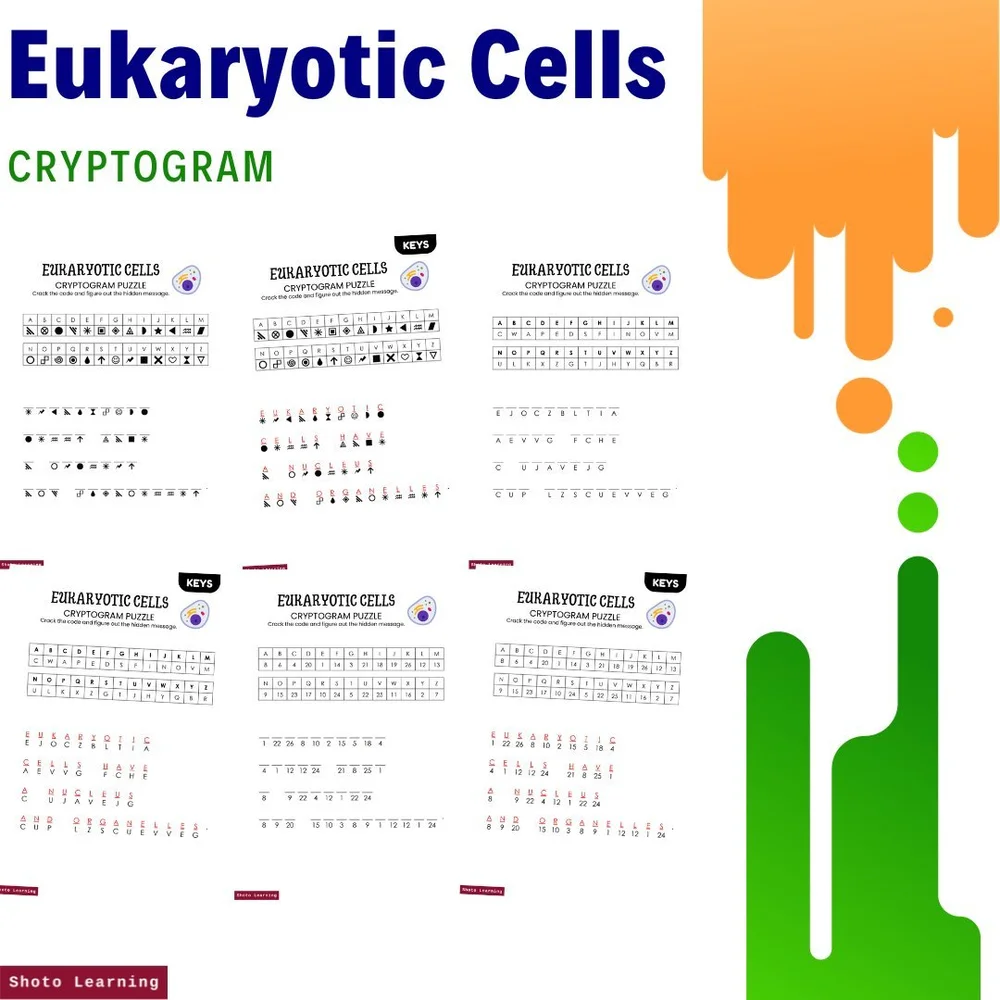 Cellular Challenge Bundle: Fun Educational Eukaryotic Cell Games