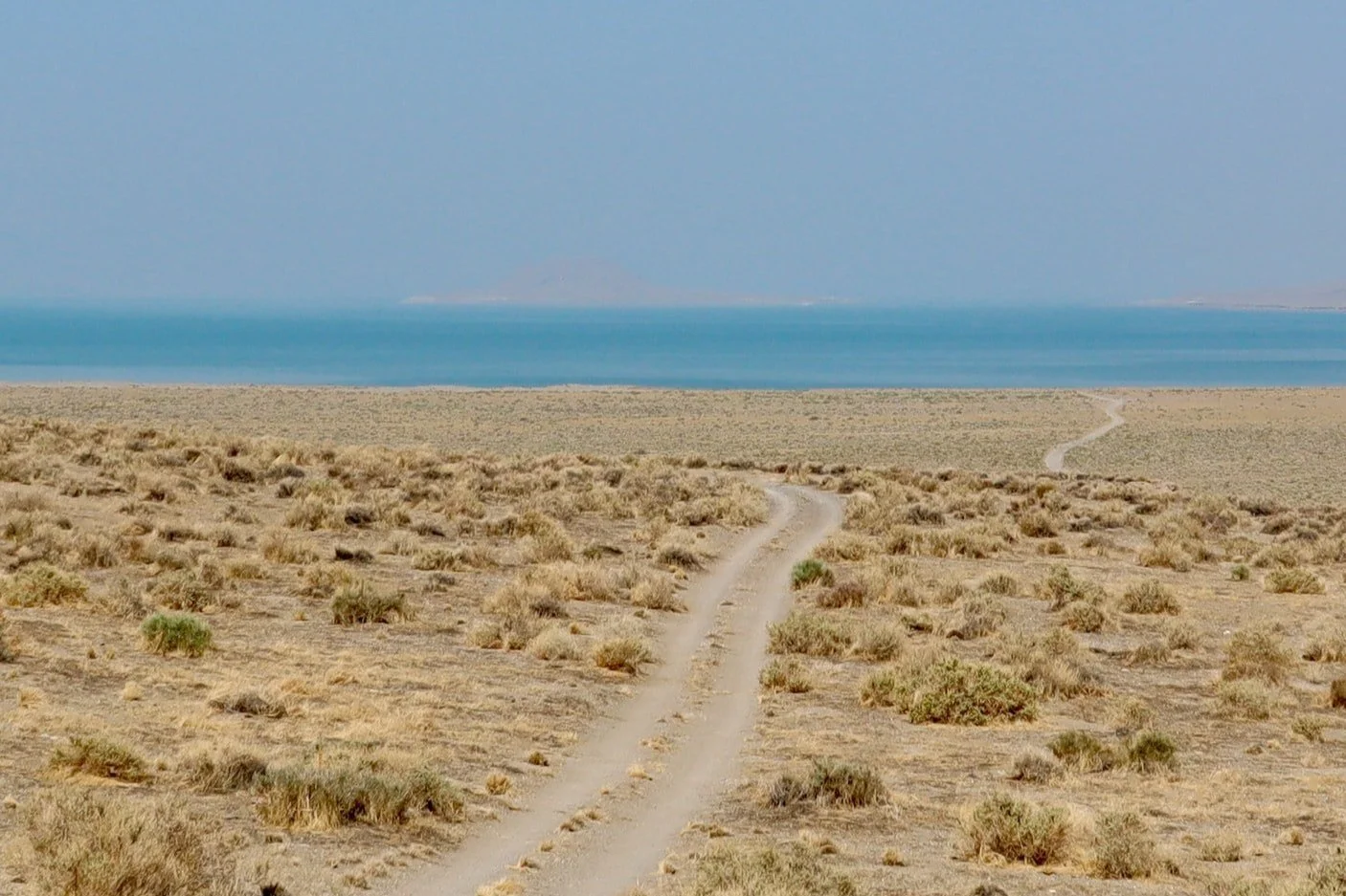 Rising Health & Performance