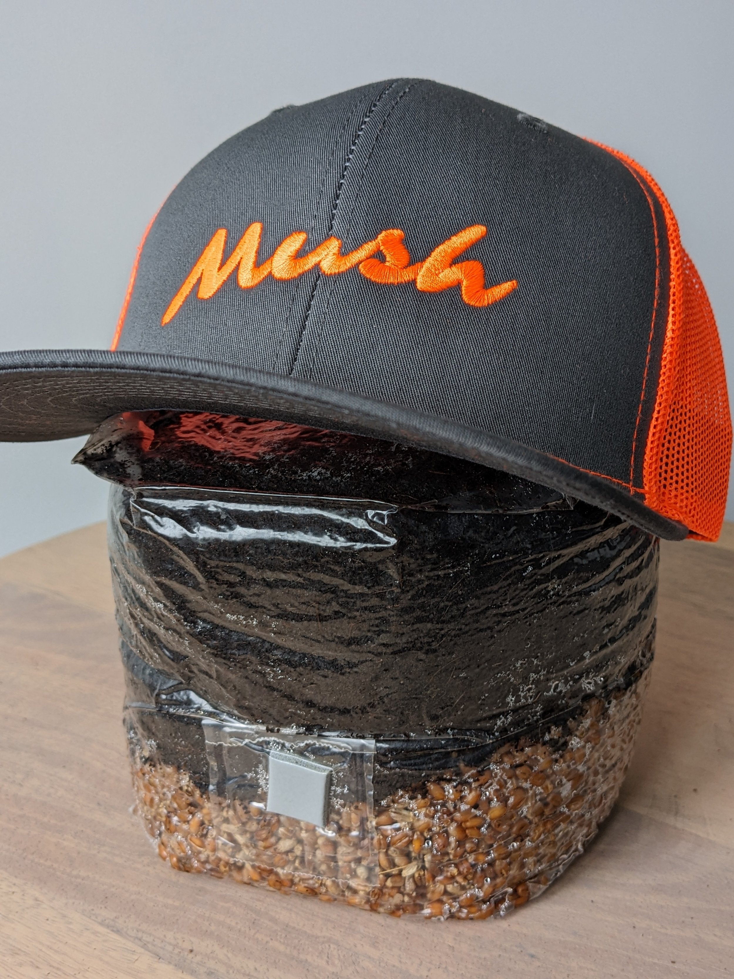 Shop — Mush Cult Supply