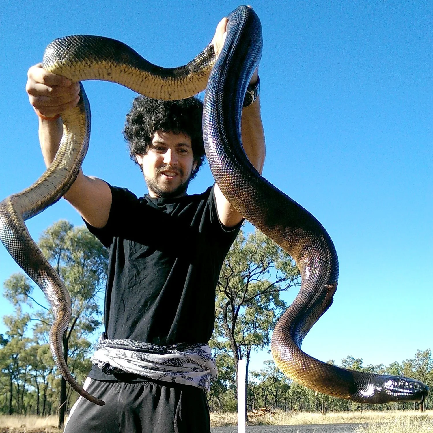 Members — Evolution and Optics of Nanostructures