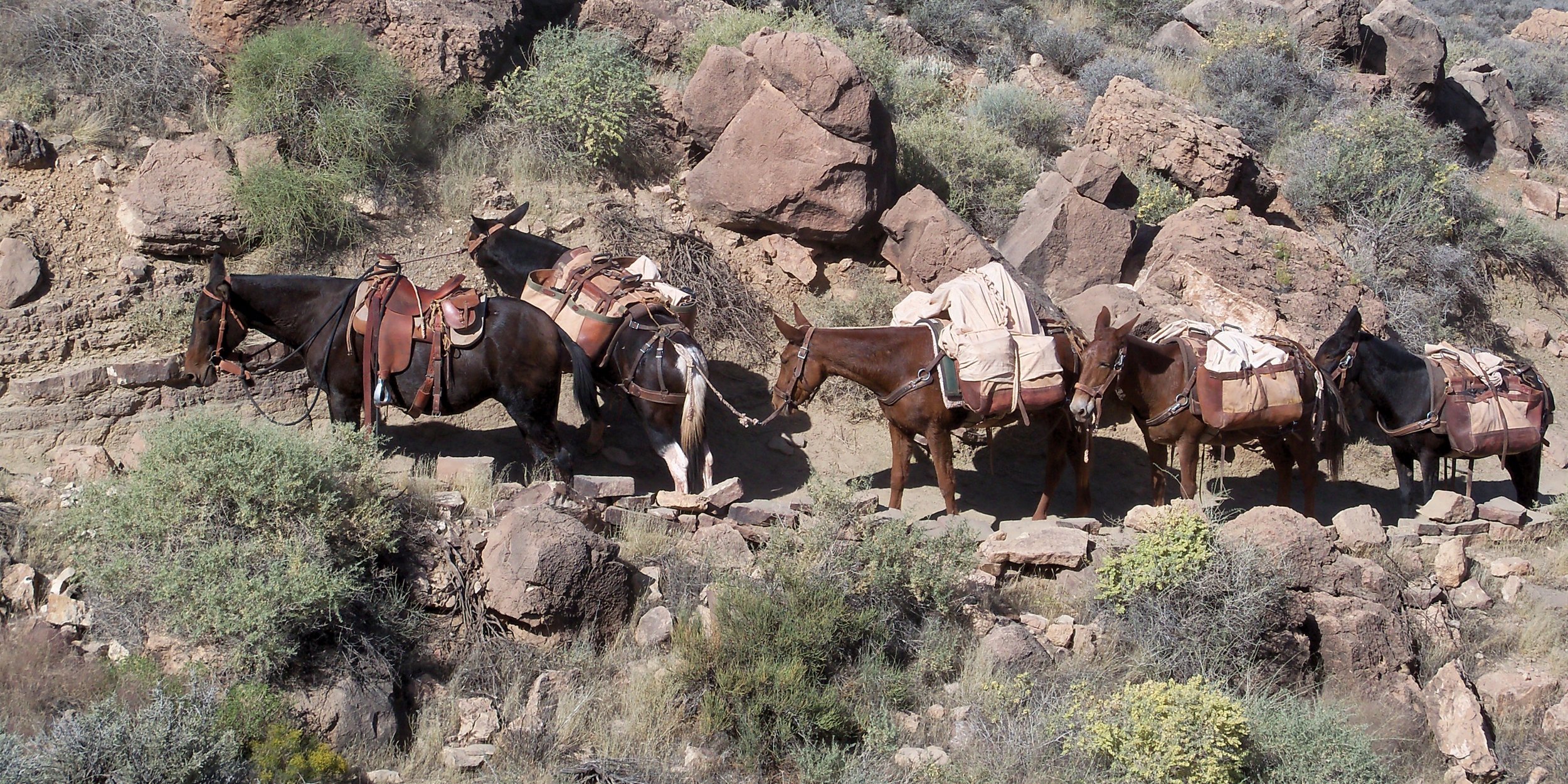 Outdoor Recreation in Meeteetse, Wyoming — Meeteetse Visitor Center