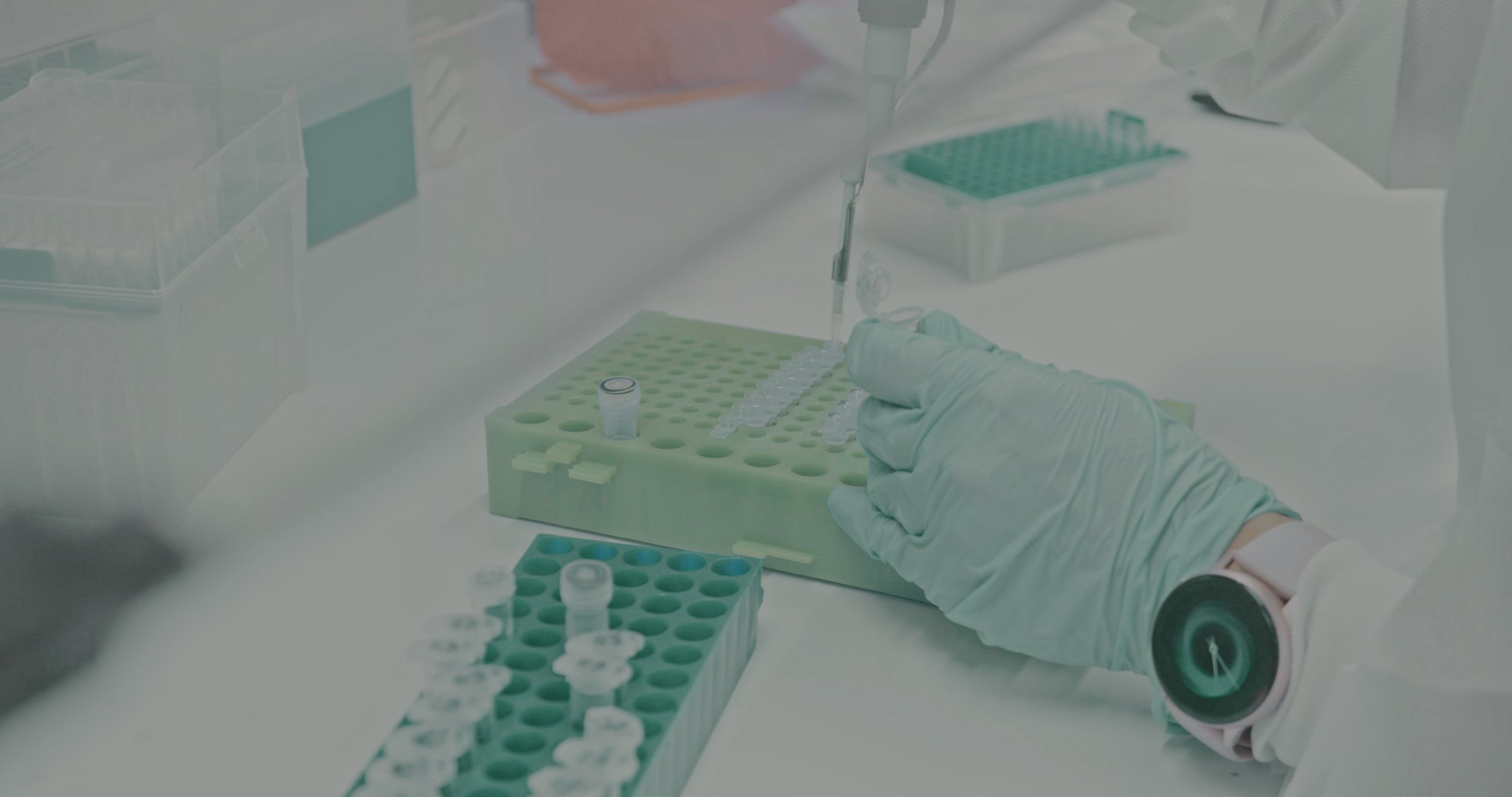 Current Research | Sequential