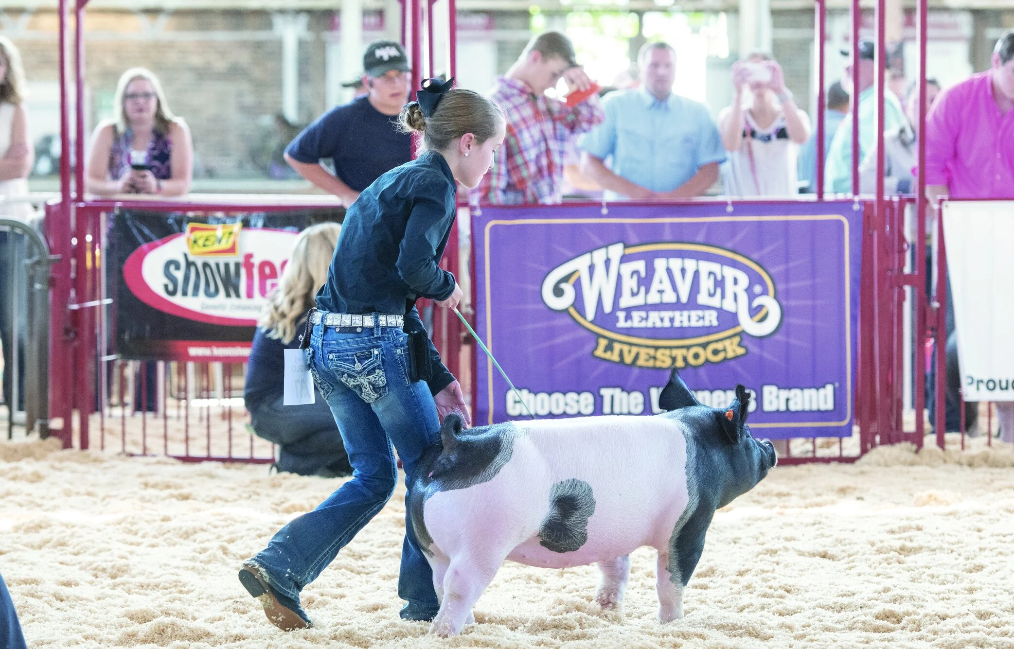 Champions Livestock Show Supply