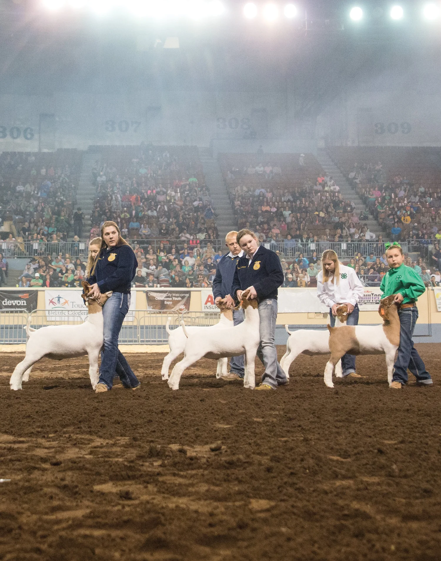 Goat Show Supplies — Champions Livestock Show Supply