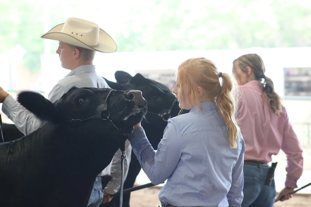 SD Simmental Association