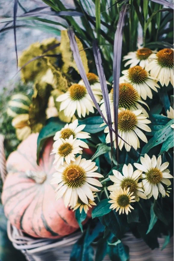 5-Minute DIY Fall Planter — Carmen Johnston Gardens