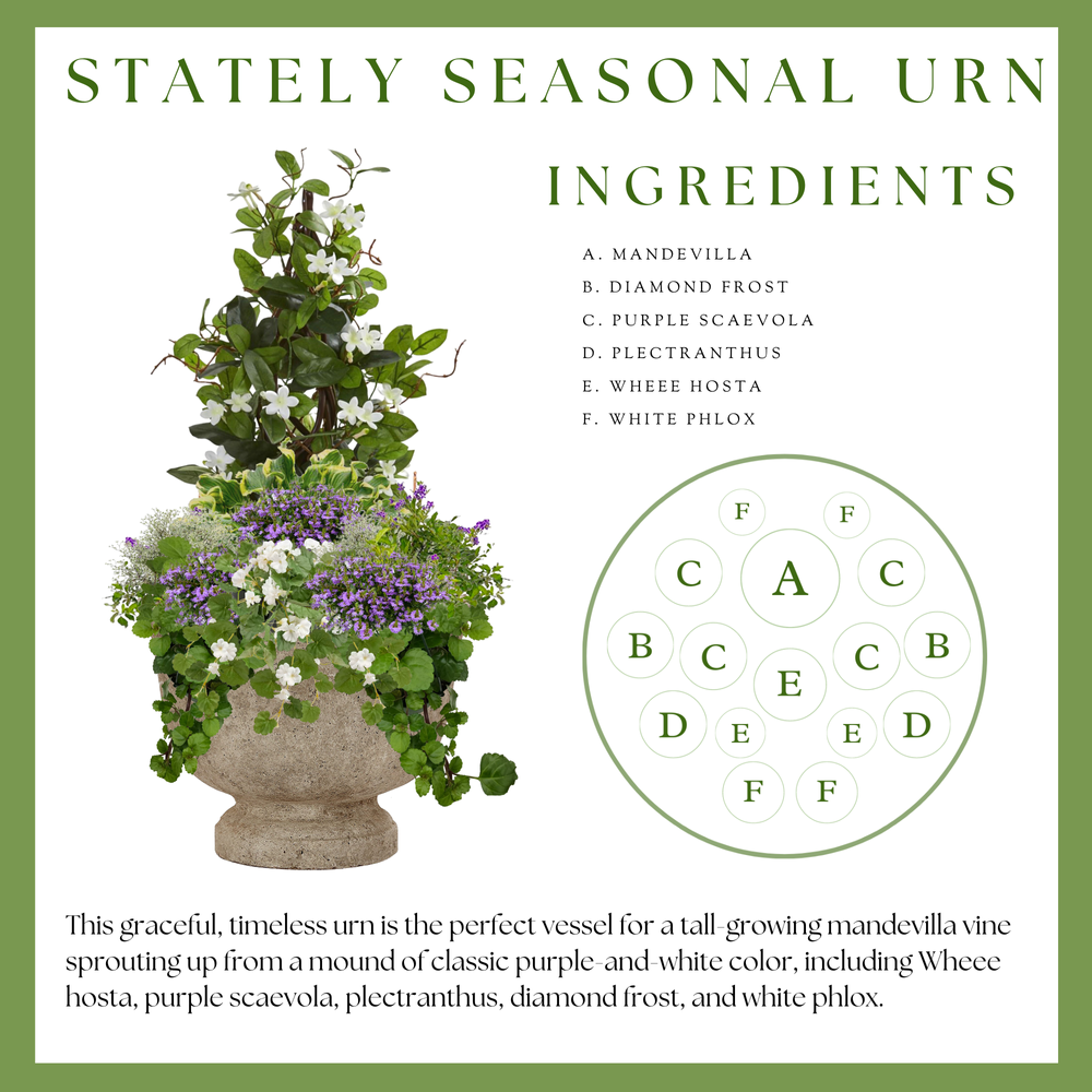 Spring Has Sprung Container Collection — Carmen Johnston Gardens