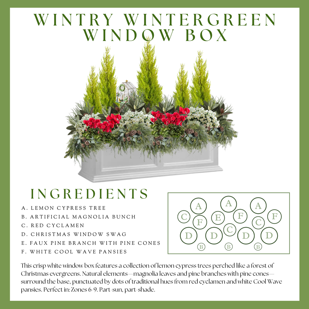 Deck the Holidays Container Collection — Carmen Johnston Gardens