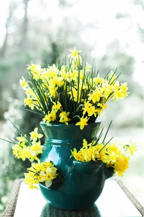 14 Ways to Welcome Spring — Carmen Johnston Gardens