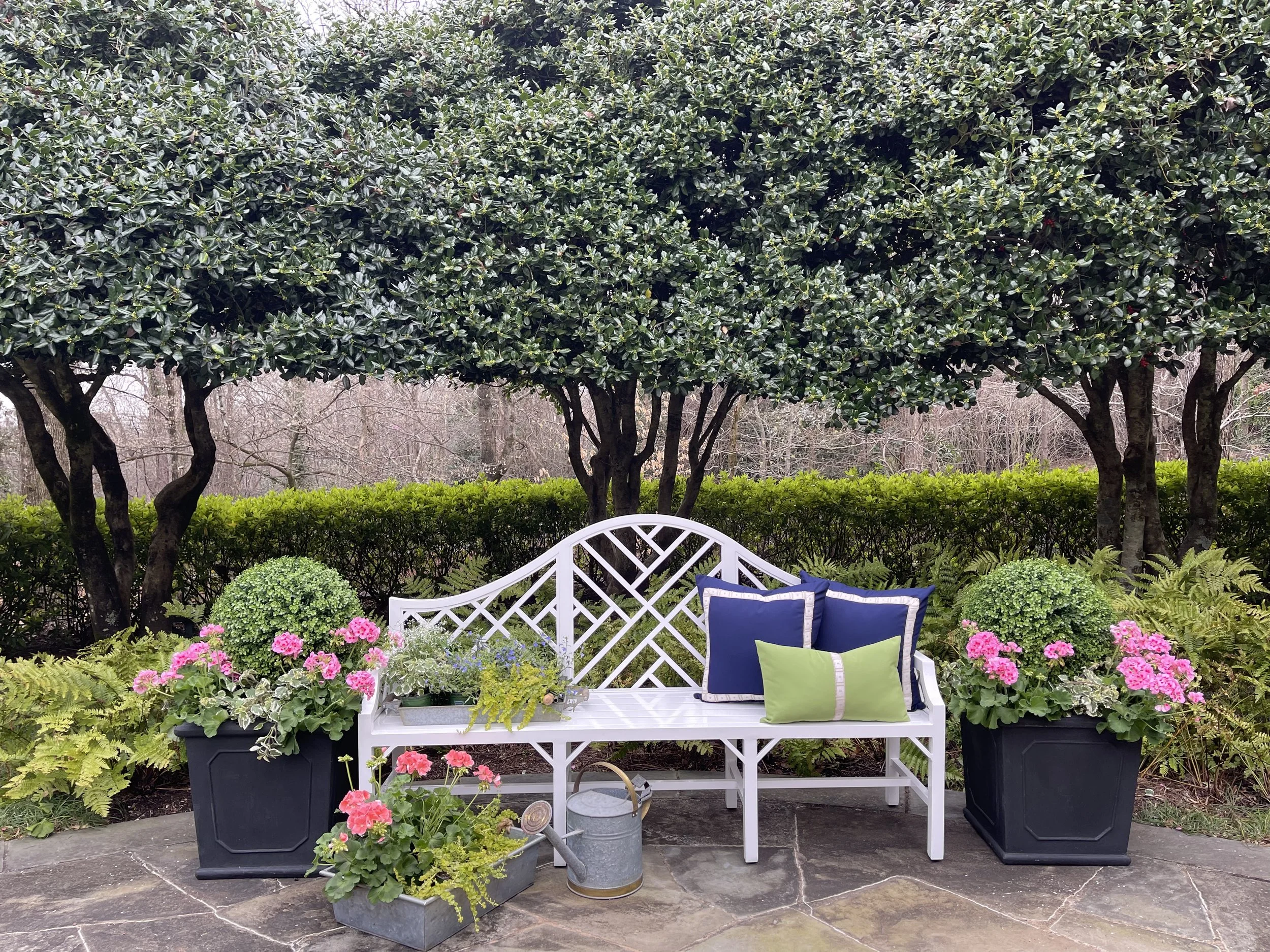 A Beautiful Boxwood Garden — Carmen Johnston Gardens