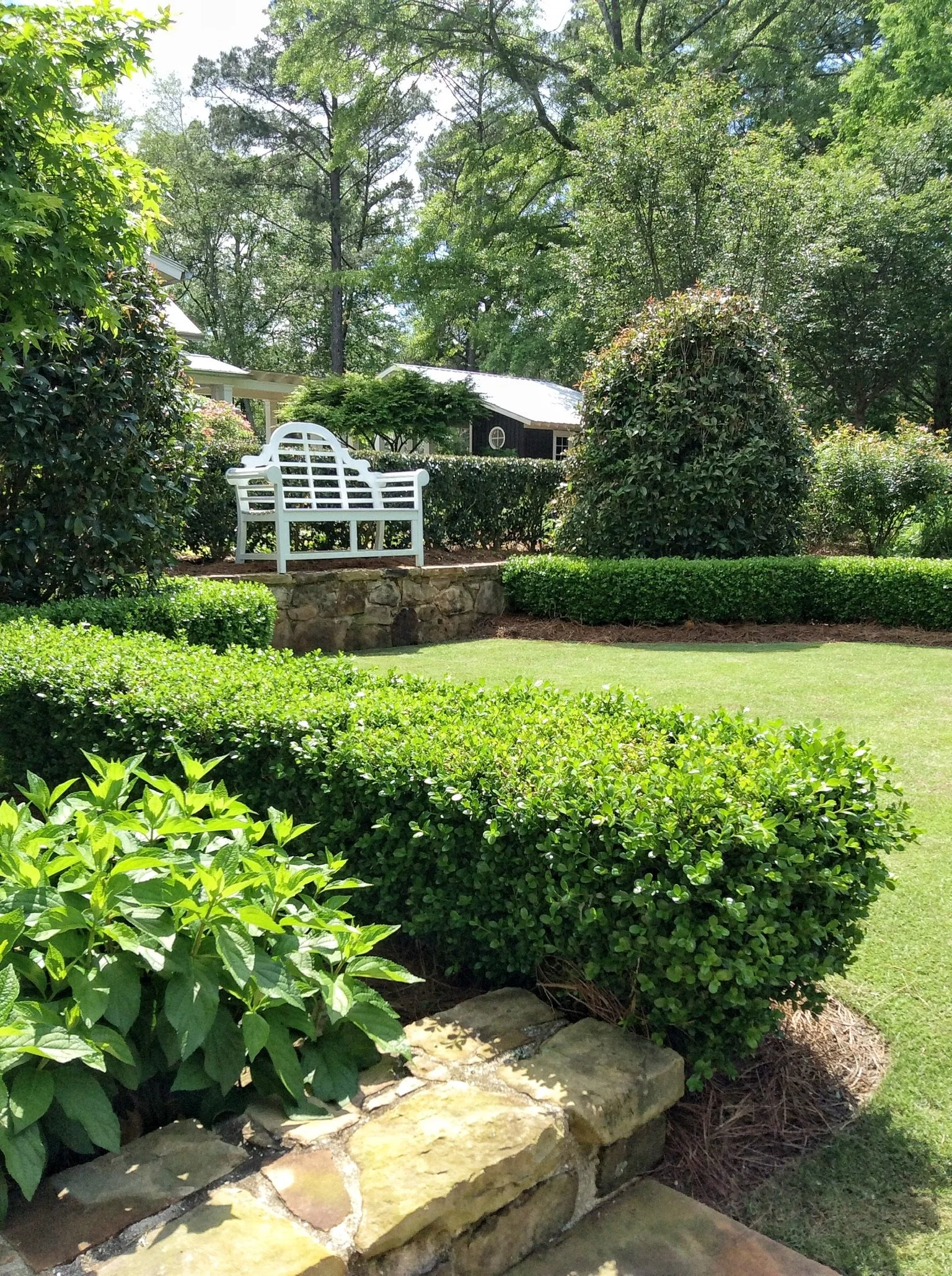 Prep Now for a Beautiful Spring Garden — Carmen Johnston Gardens