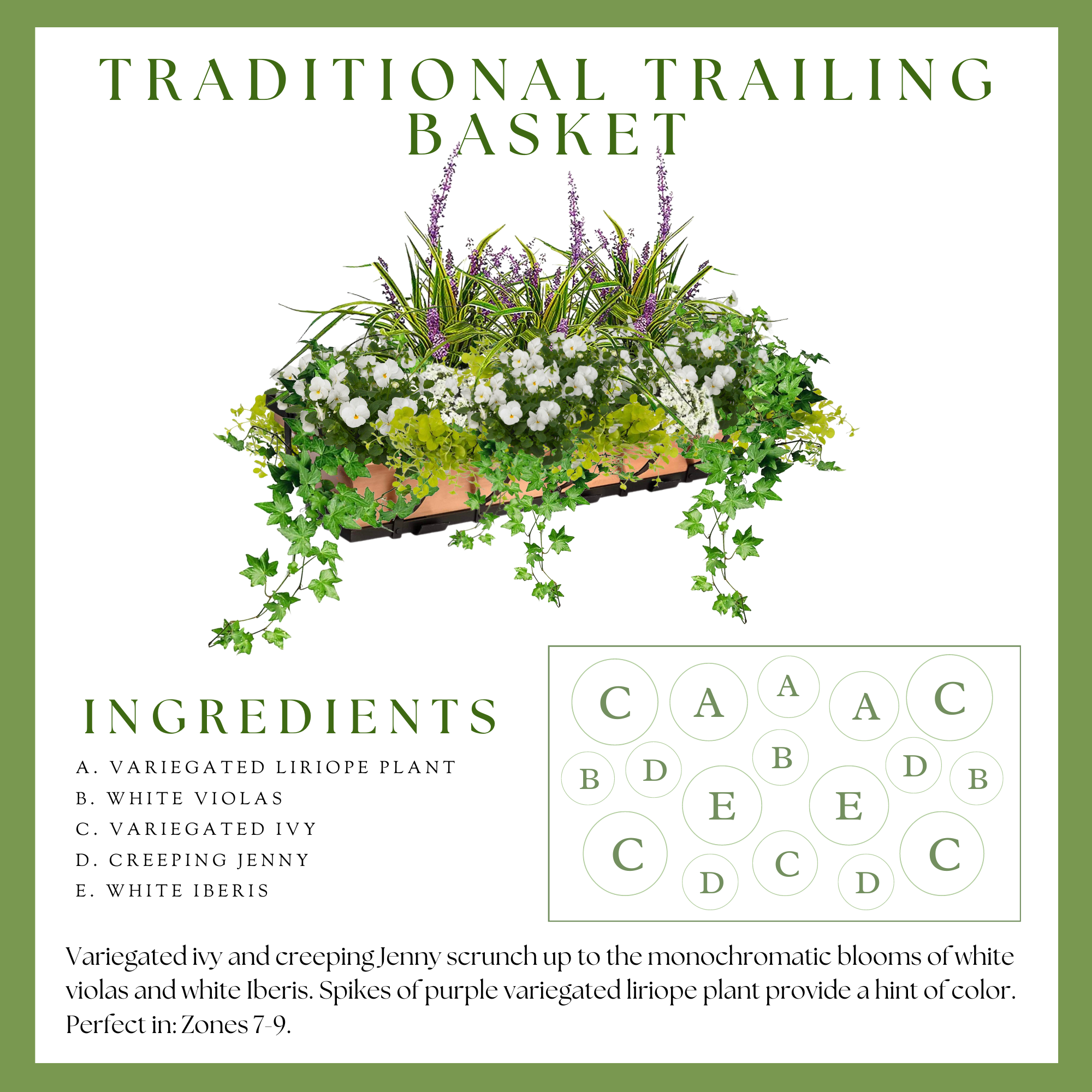 Cozy Cold-Weather Container Collection — Carmen Johnston Gardens