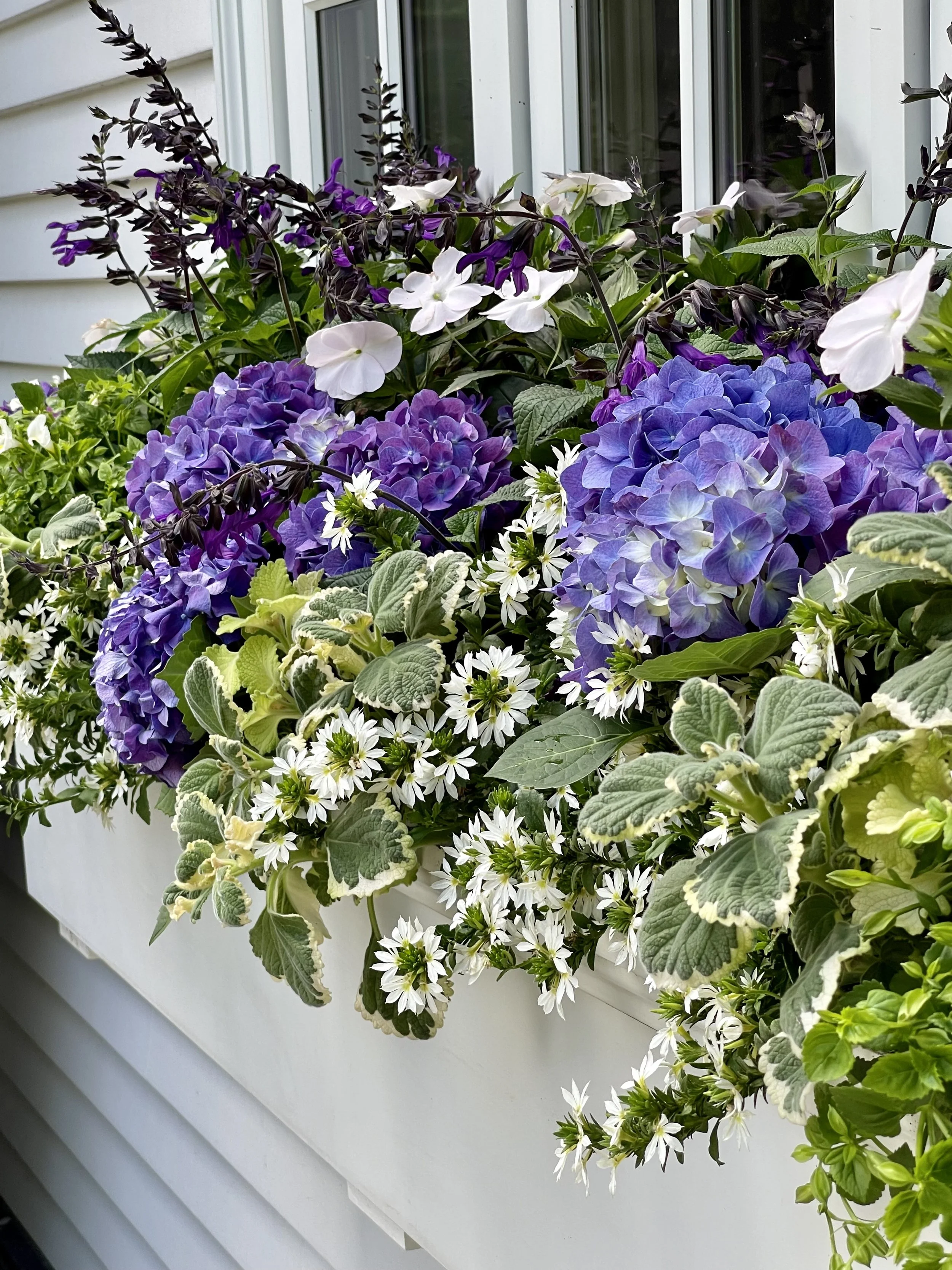 Carmen’s Guide to Your Best Window Box — Carmen Johnston Gardens