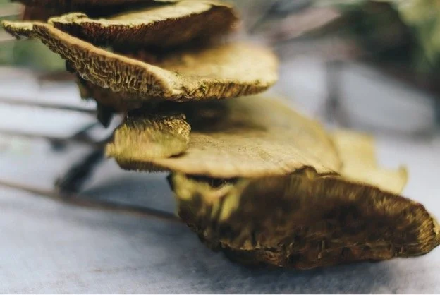 DIY Fall Hydrangea Wreath — Carmen Johnston Gardens