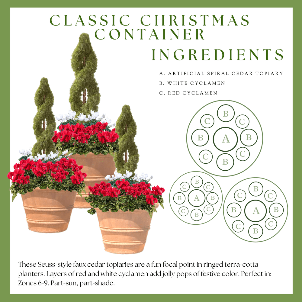Deck the Holidays Container Collection — Carmen Johnston Gardens