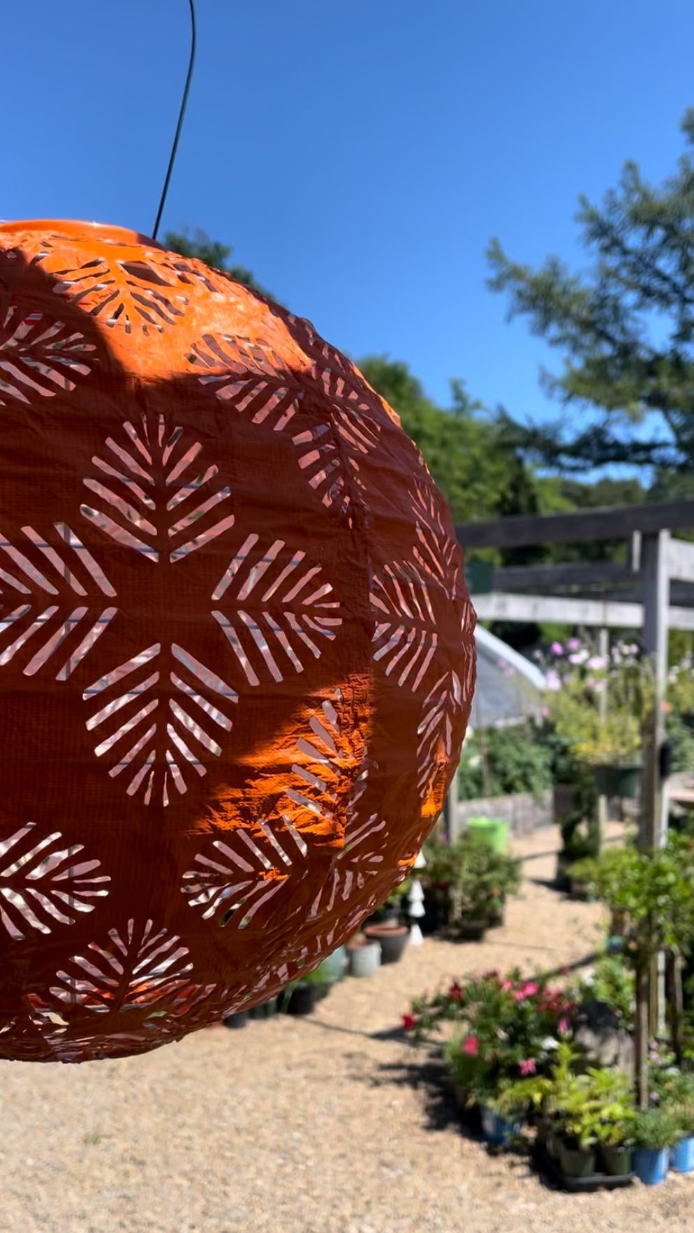 Photo Gallery — MIDDLETOWN NURSERY