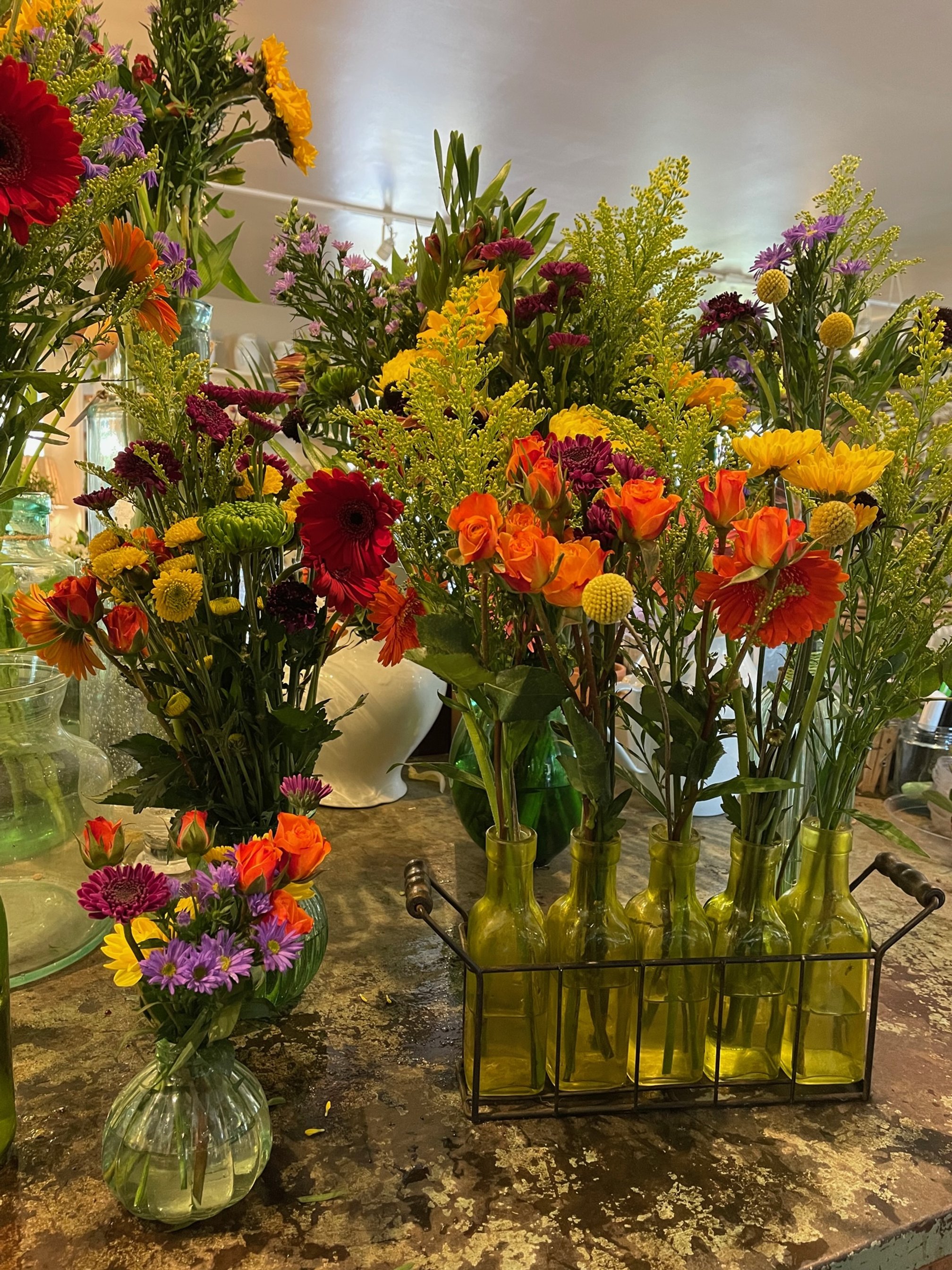 Botanical Shop — MIDDLETOWN NURSERY