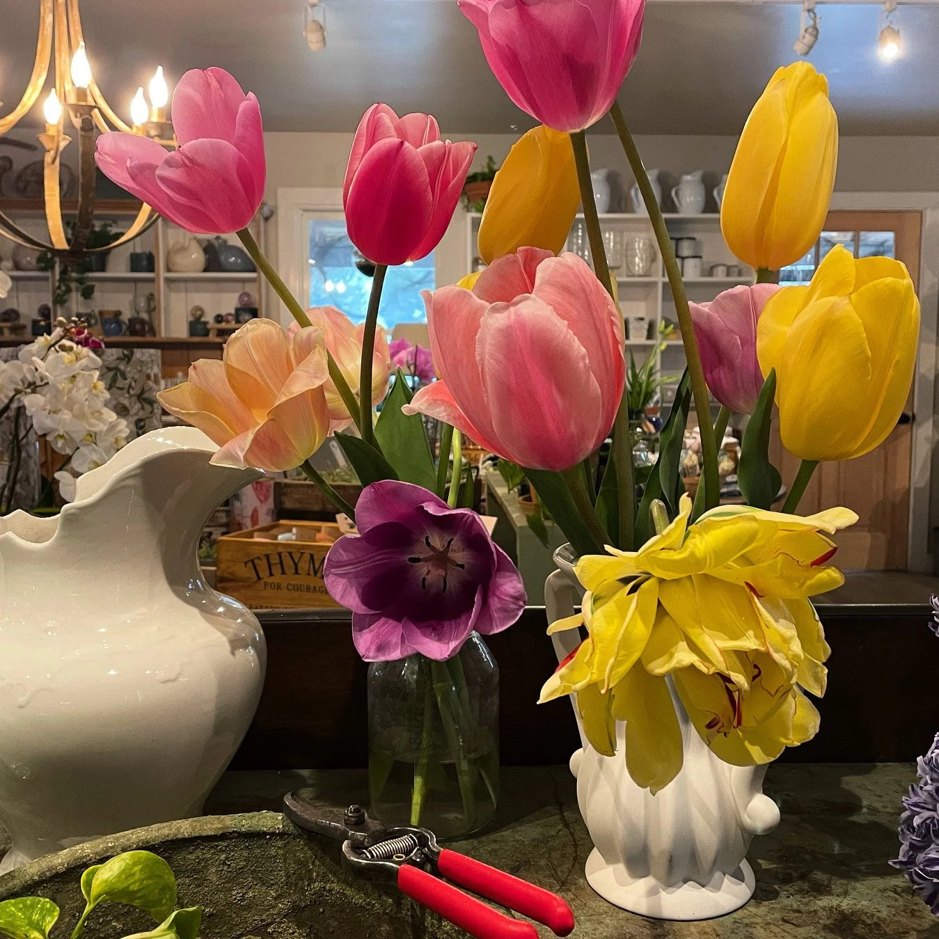 Botanical Shop — MIDDLETOWN NURSERY