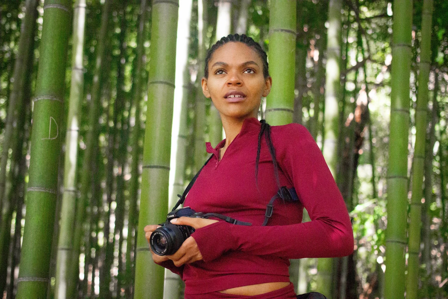 Visiting Atlanta's Bamboo Forest — Roaming with the Robertsons