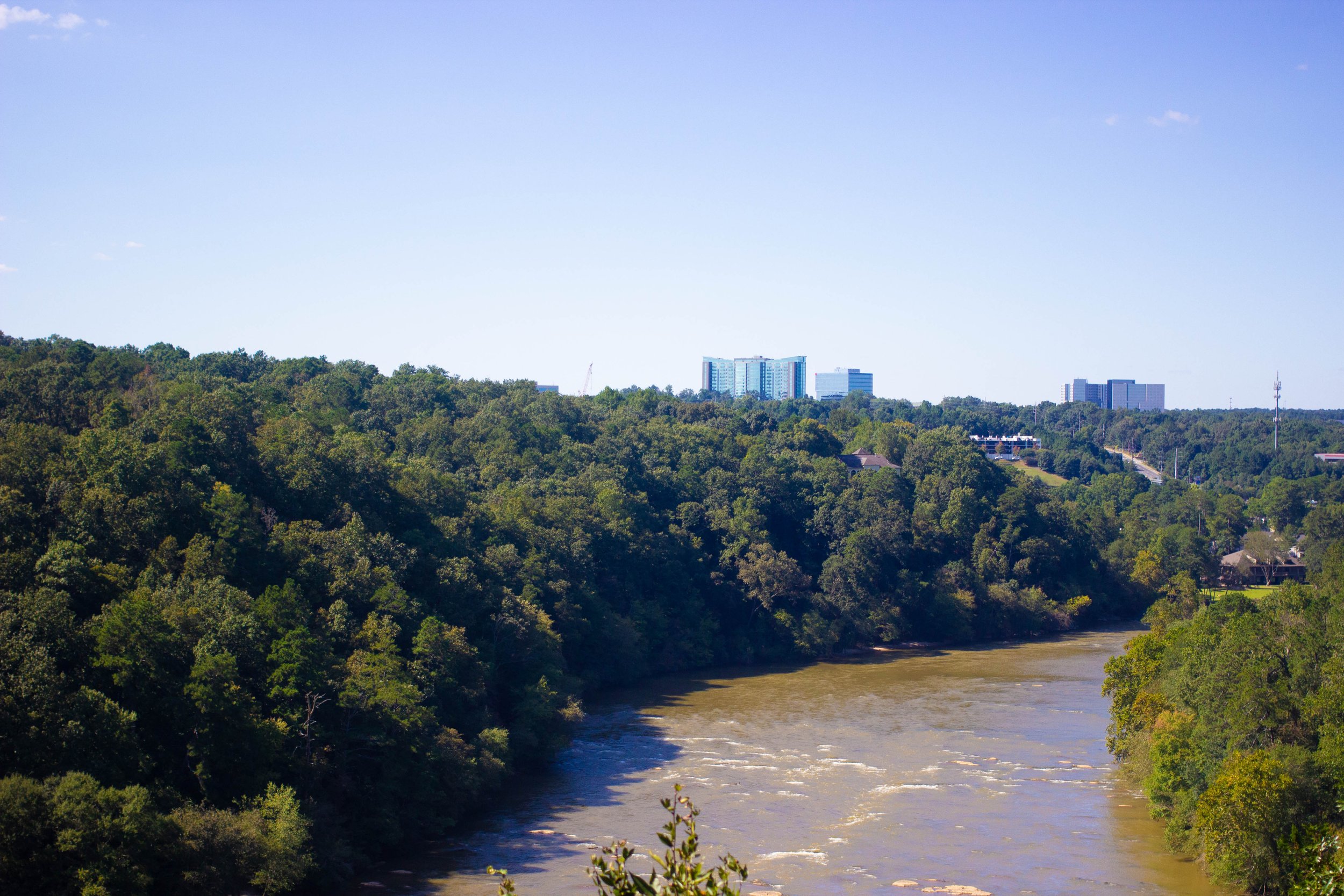 Visiting Atlanta's Bamboo Forest — Roaming with the Robertsons