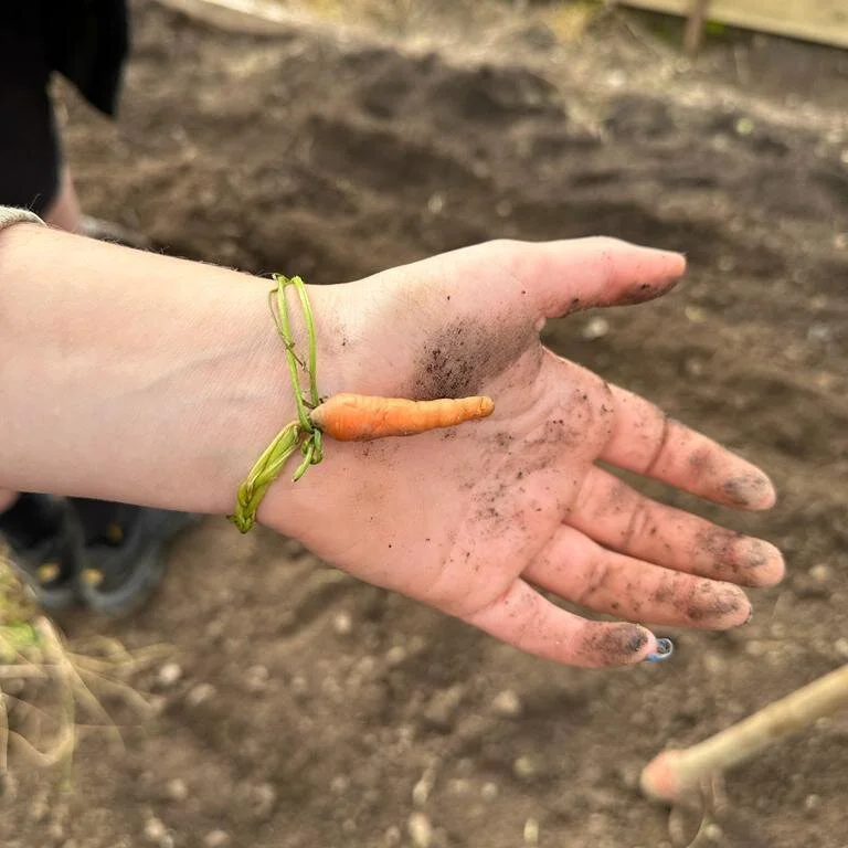 MORE VEG IN THE MACEDON RANGES