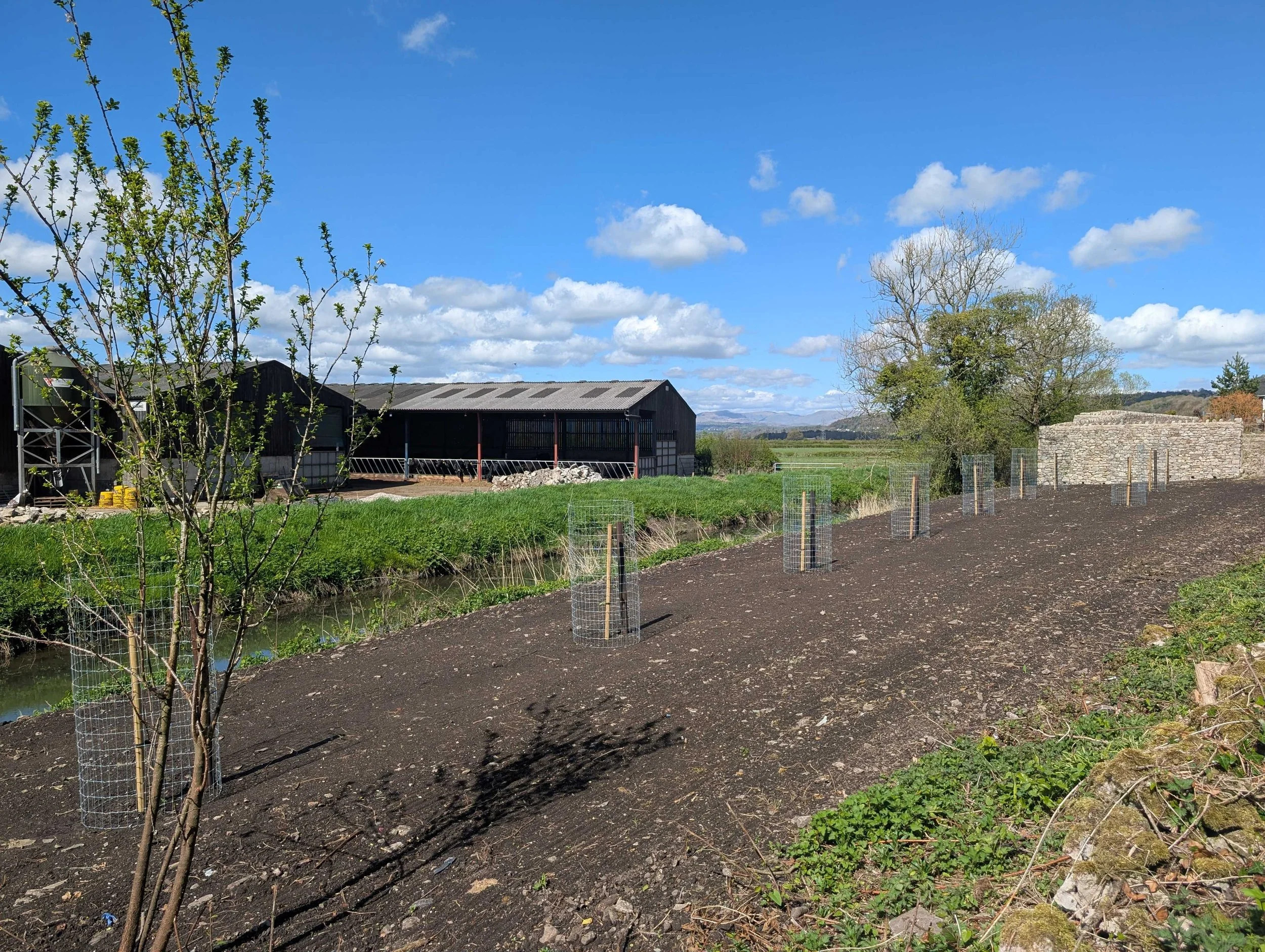A Fresh Start at Underhill: Levens’ Jubilee Orchard Takes Root — Levens ...