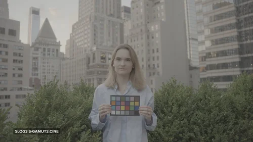Comparing Film Emulation plugins for video — Cinema Tools