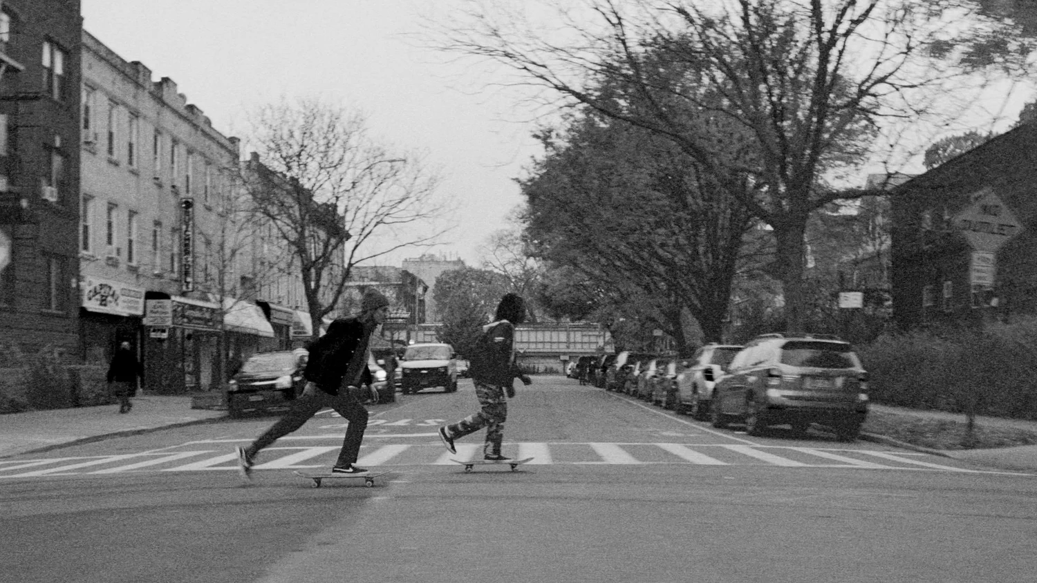 Film grain that looks good + free film grain scan — Cinema Tools