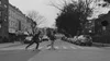 Film grain that looks good + free film grain scan — Cinema Tools