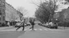 Film grain that looks good + free film grain scan — Cinema Tools