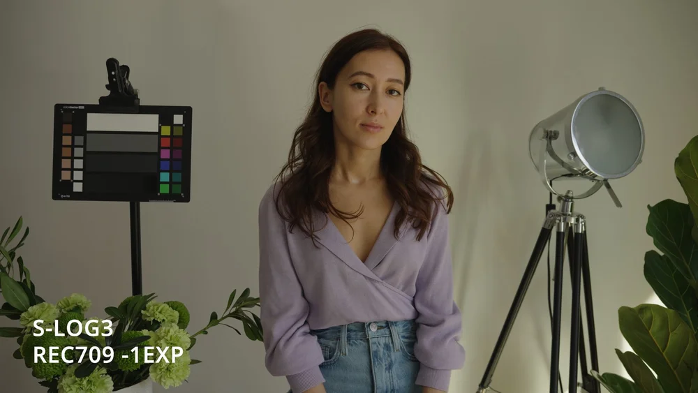 Cinema Tools Utility LUTs for Sony S-Log3 — Cinema Tools