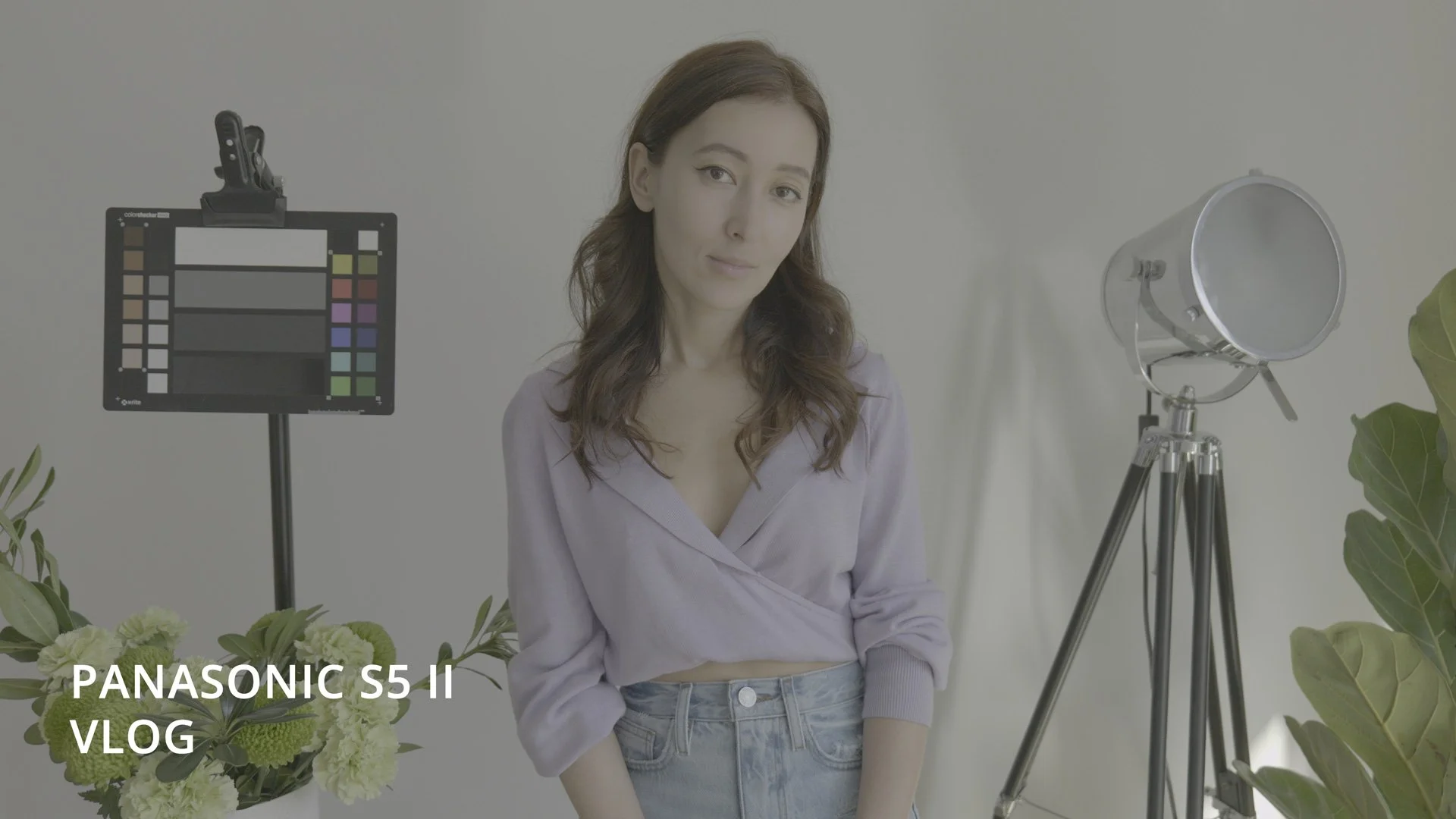 Cinema Tools V-Log LUT for Panasonic S5 II — Cinema Tools