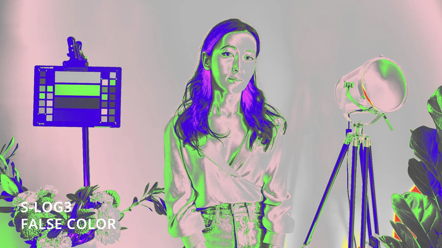 Cinema Tools Utility LUTs for Sony S-Log3 — Cinema Tools