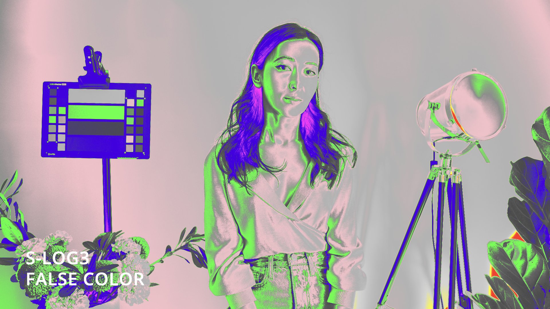 Cinema Tools Utility LUTs for Sony S-Log3 — Cinema Tools