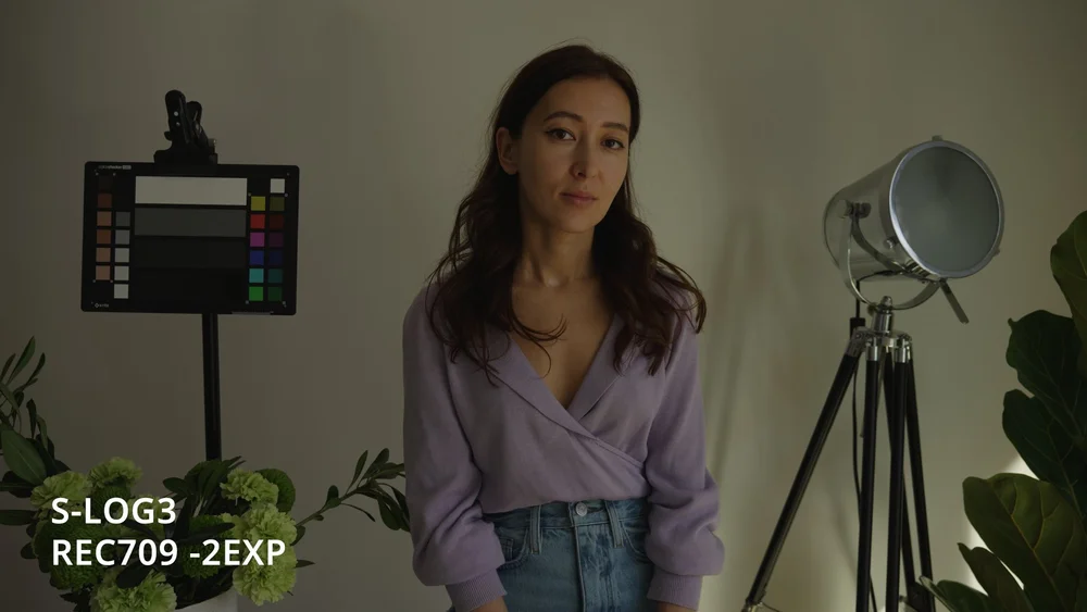 Cinema Tools Utility LUTs for Sony S-Log3 — Cinema Tools