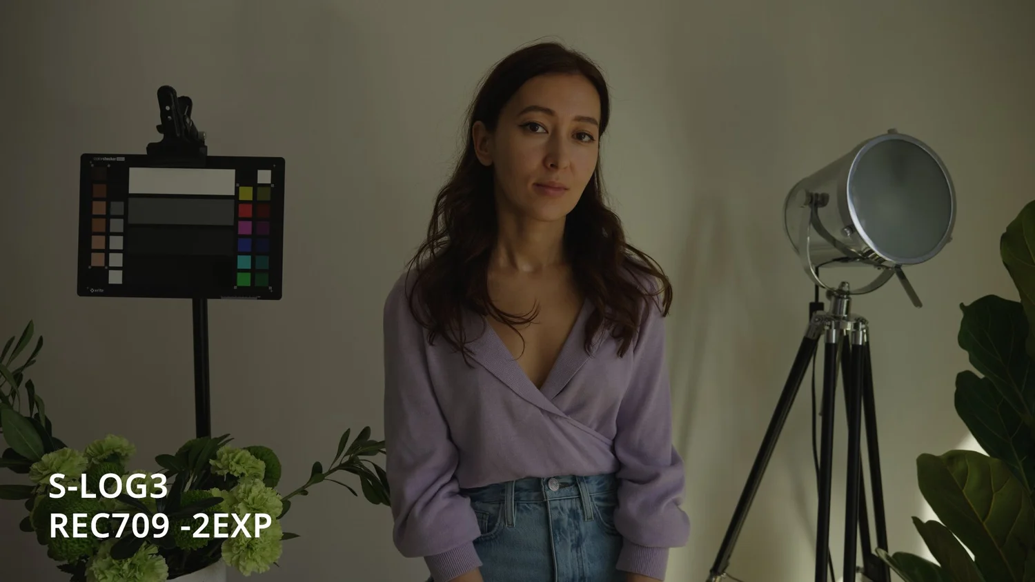 Cinema Tools Utility LUTs for Sony S-Log3 — Cinema Tools